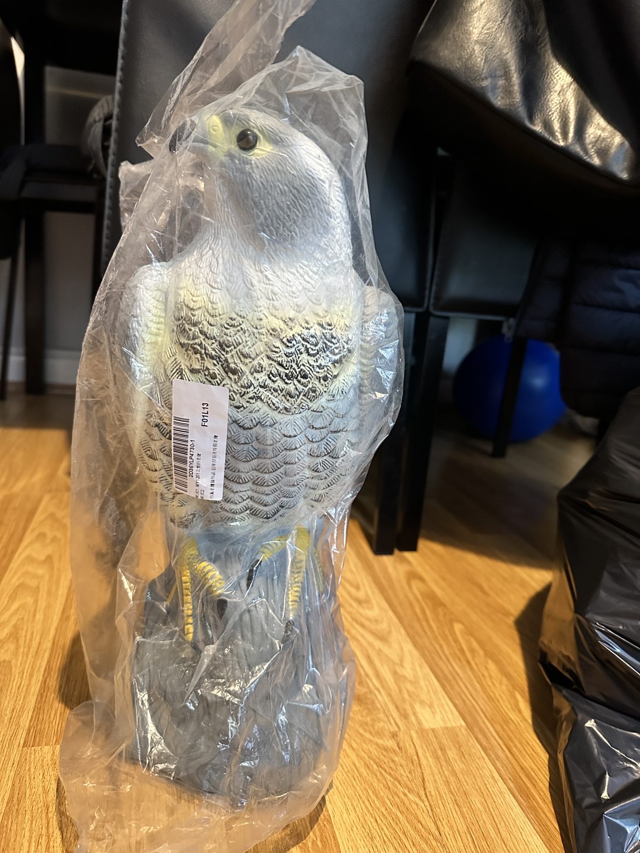 Decoy Falcon hawk deterrent garden bird | Karrot